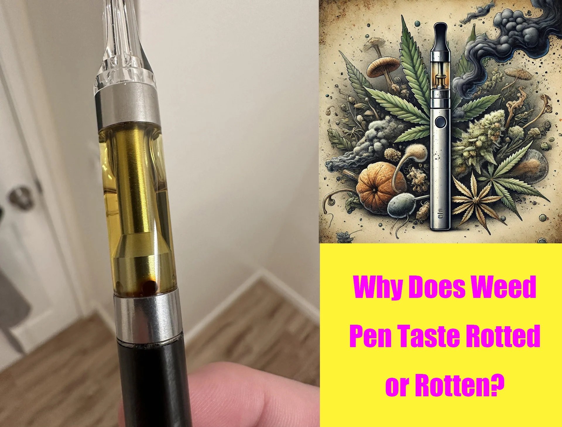 Why Does Weed Pen Taste Rotted or Rotten?