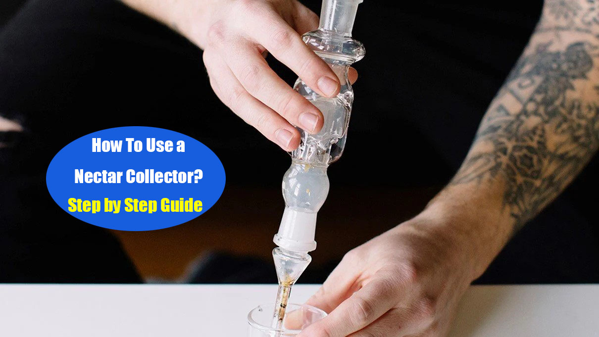 How to Use a Nectar Collector? Step by Step Guide | LOOKAH