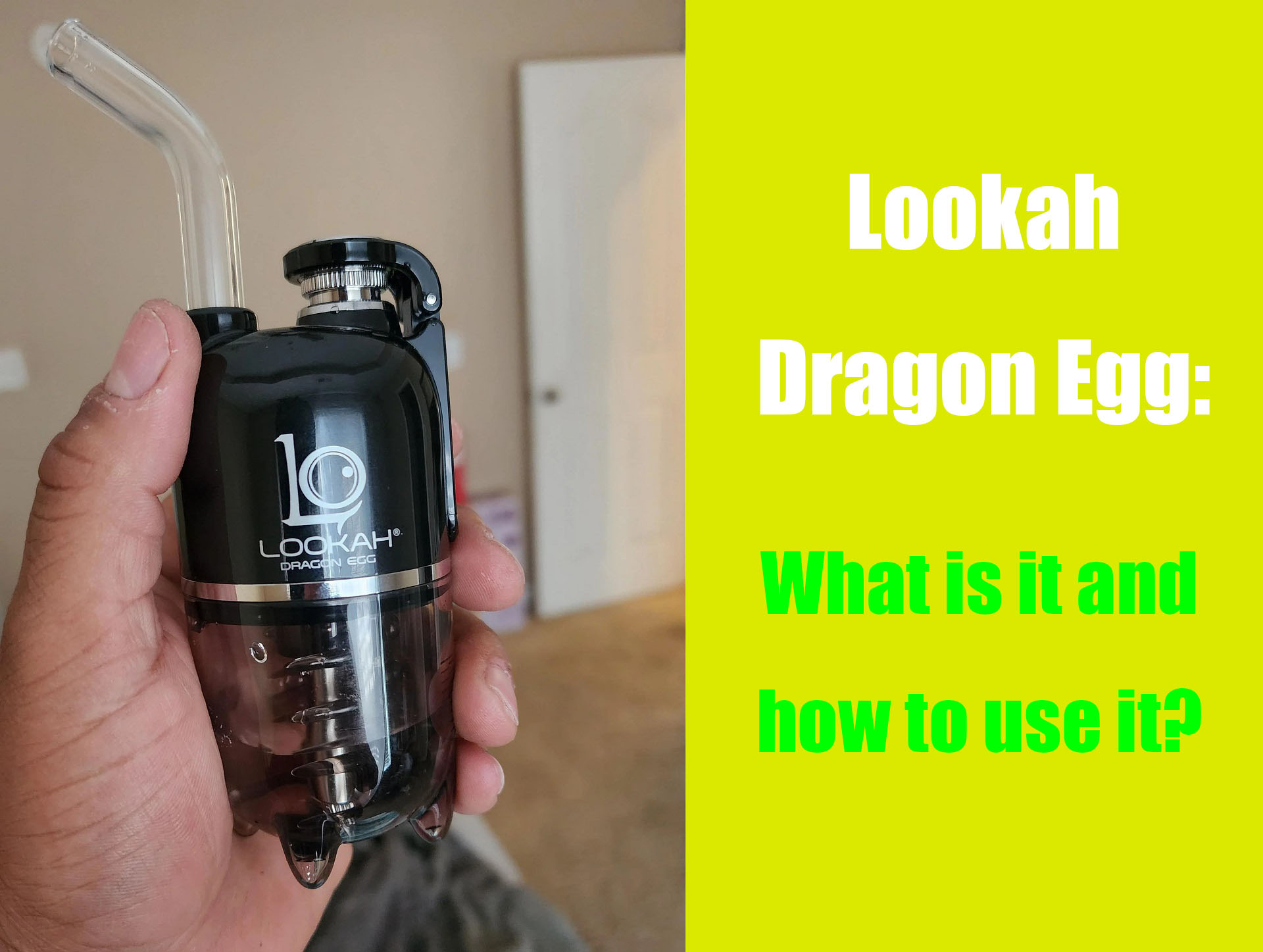 Lookah Dragon Egg: What is it? How to Use and Clean it? | LOOKAH