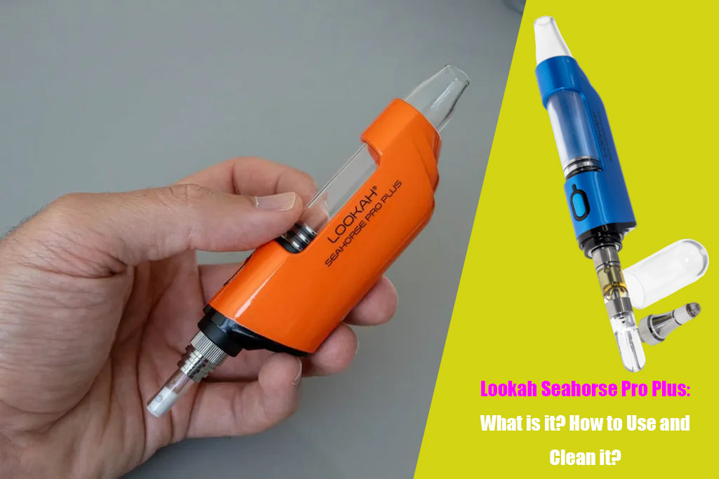 Lookah Seahorse Pro Plus: What is it? How to Use and Clean it?