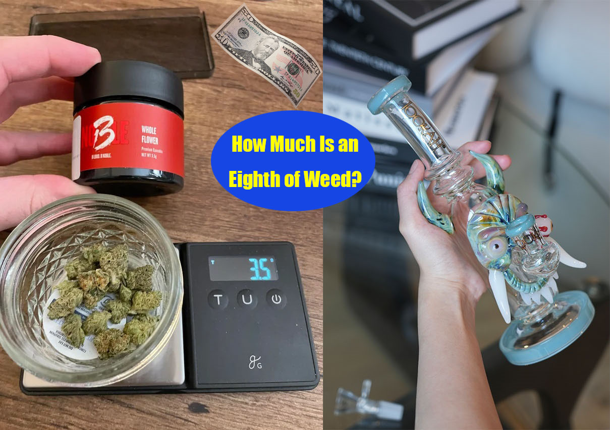 How Much Is an Eighth of Weed? Average Cost Guide