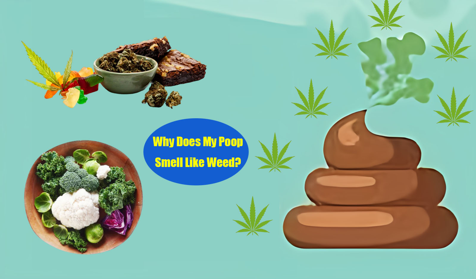 Why Does My Poop Smell Like Weed?
