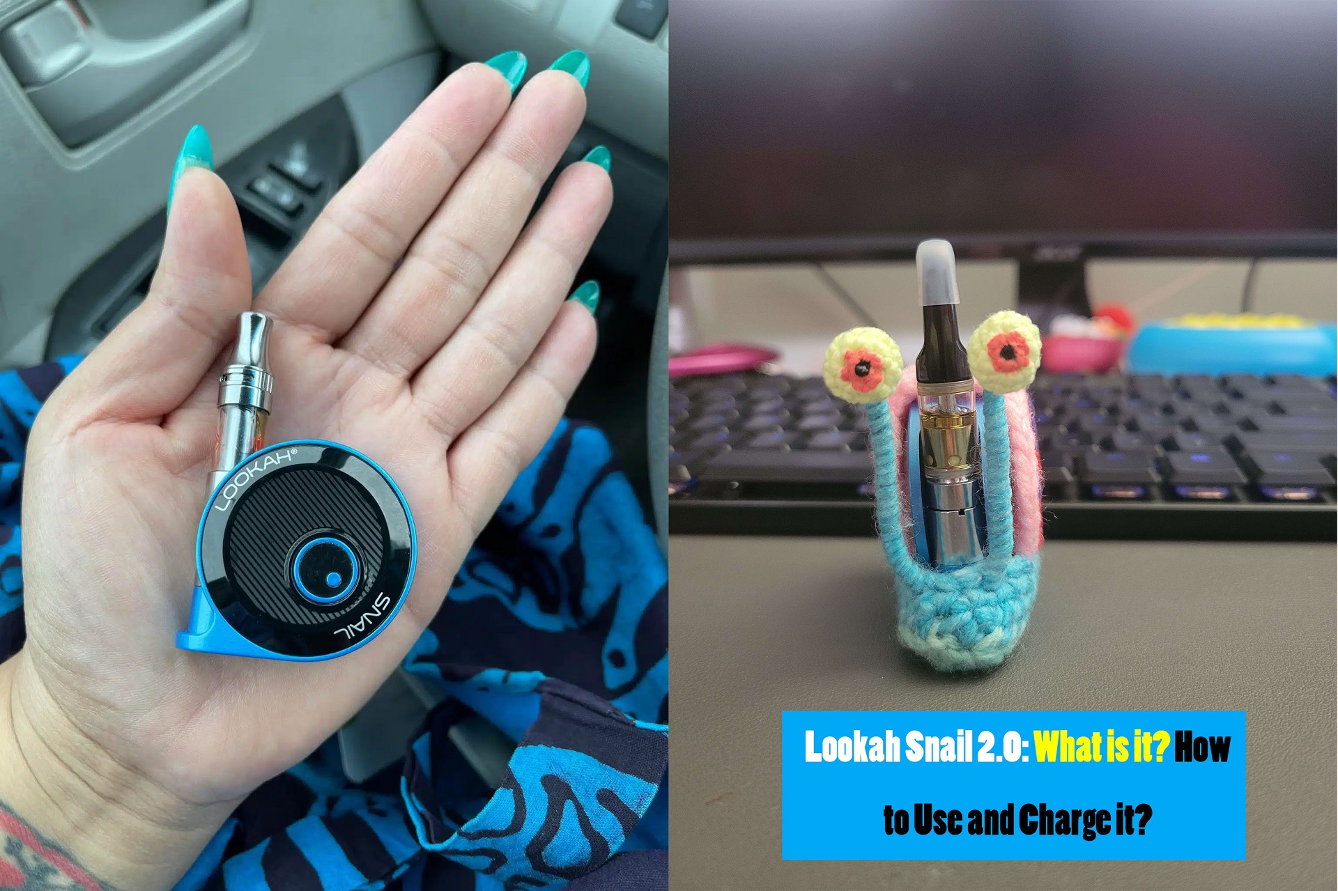 Lookah Snail 2.0: What is it? How to Use and Charge it?