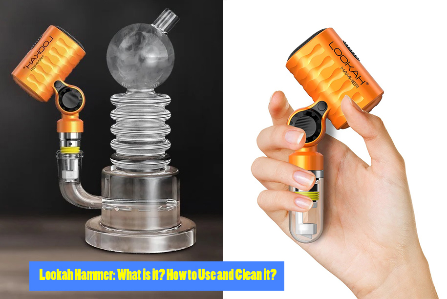 Lookah Hammer: What is it? How to Use and Clean it?