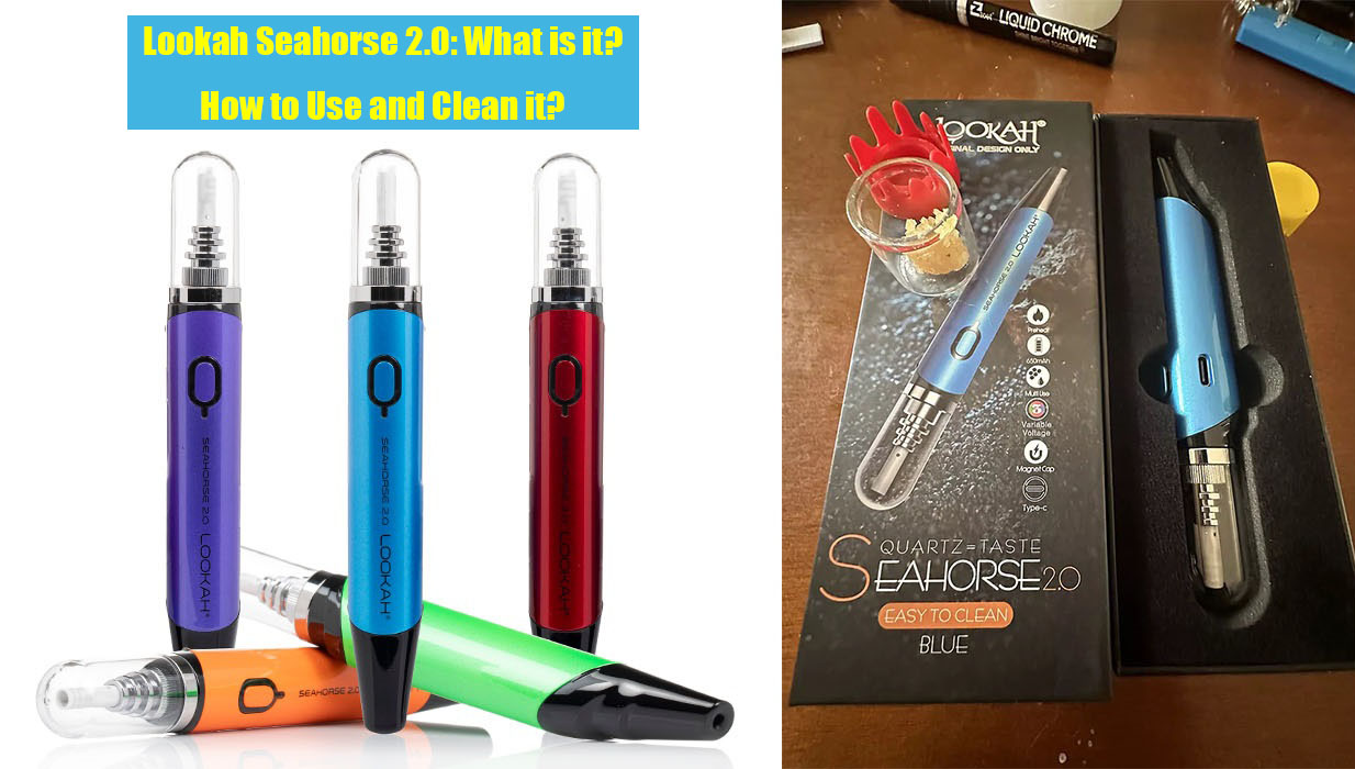 Lookah Seahorse 2.0: What is it? How to Use and Clean it?