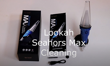 Seahorse Max Cleaning | Lookah