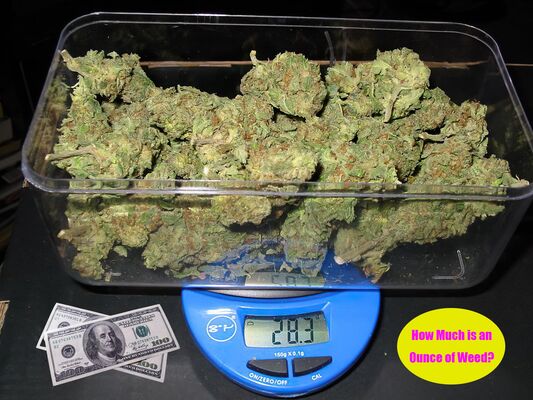 How Much is an Ounce of Weed? Average Cost Guide