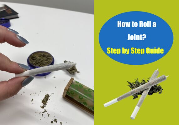 How to Roll a Perfect Joint? Step by Step Guide | LOOKAH