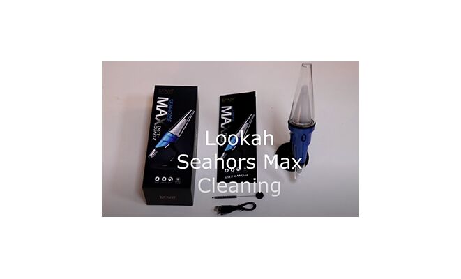 Seahorse Max Cleaning | Lookah