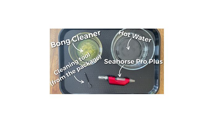 Seahorse Pro Plus Cleaning Video | Lookah