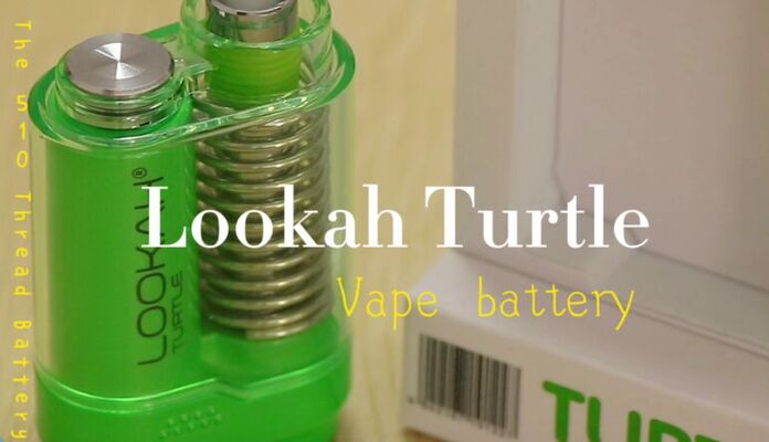Turtle How To Videos | LOOKAH
