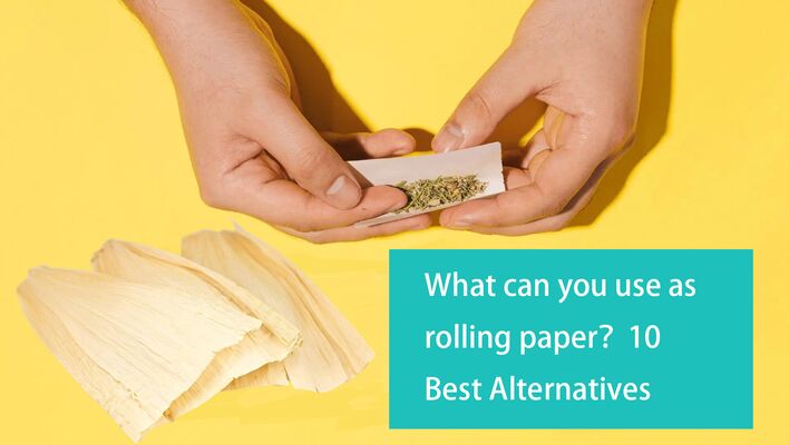 What can you use as rolling paper? 10 Best Alternatives | LOOKAH