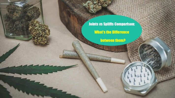 Joints vs Spliffs Comparison: What's the Difference? | LOOKAH