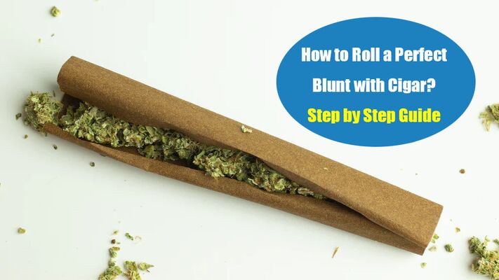 How To Roll A Perfect Blunt With Cigar Step By Step Guide Lookah