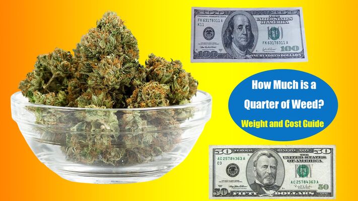 How Much is a Quarter of Weed? Weight and Cost Guide | Lookah